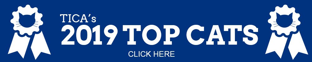 Welcome to TICA - The International Cat Association, TICA cats, TICA ...