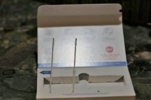 Genetic Testing - TICA - The International Cat Association