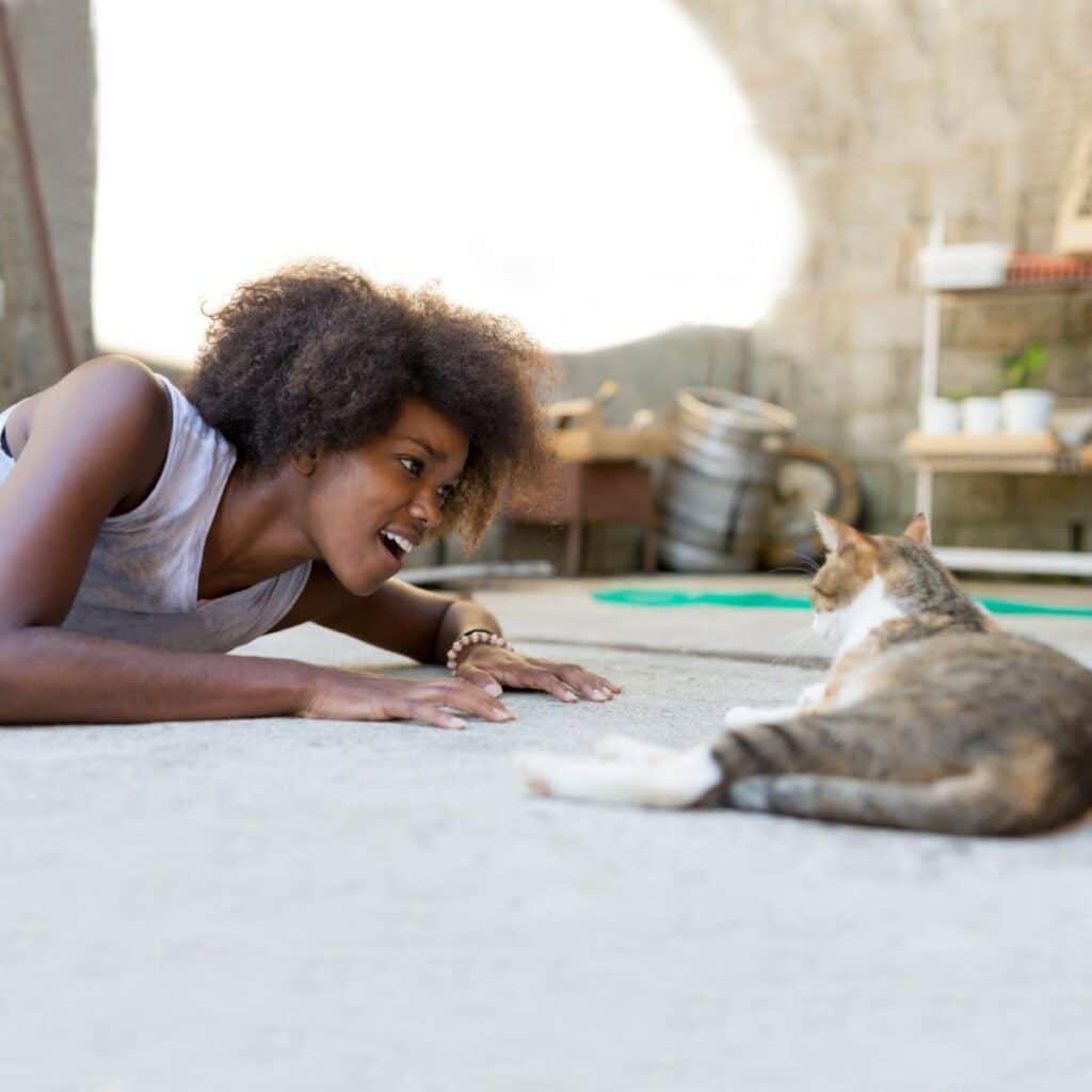 Home - TICA - The International Cat Association