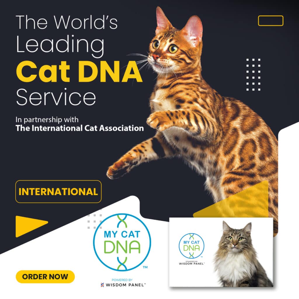 Home - TICA - The International Cat Association