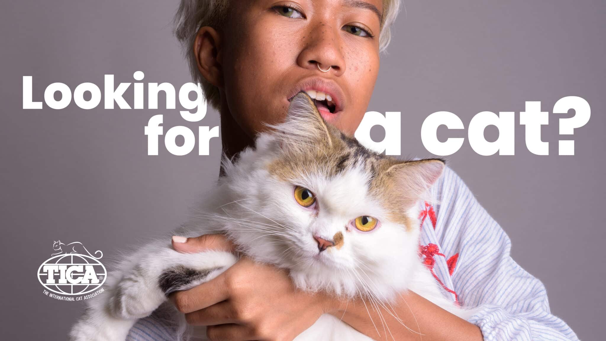 Find a Cat Breeder - TICA - The International Cat Association