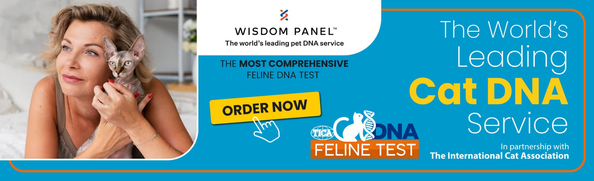 Unveiling the Sensory World of Cats: Understanding the Development of ...